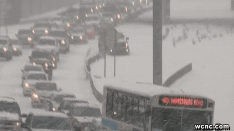 Snow Chooses GIF - Find & Share on GIPHY