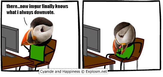 Self Importance GIF - Find & Share on GIPHY