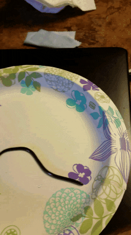 Flower Pot GIF - Find & Share on GIPHY