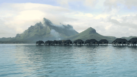 Bora GIF - Find & Share on GIPHY