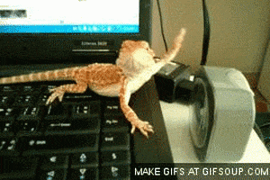 Helloooo GIF - Find & Share on GIPHY