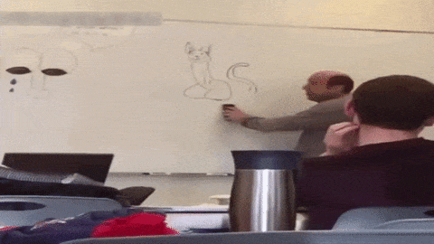 Cat Erase GIF - Find & Share on GIPHY