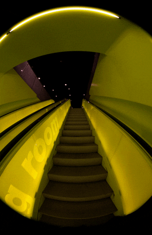 Where The Neon GIF by hateplow - Find & Share on GIPHY