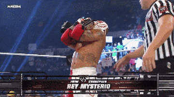Rey Mysterio Wwe GIF - Find & Share on GIPHY
