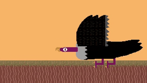 Vulture GIF - Find & Share on GIPHY