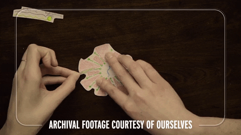 Virus Germs GIF by PBS Digital Studios - Find & Share on GIPHY