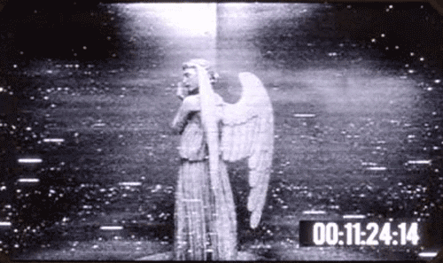 Angels GIF - Find & Share on GIPHY