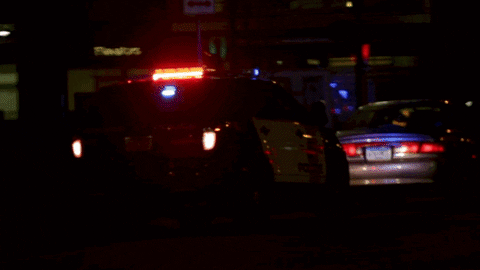 Police GIFs - Find & Share on GIPHY