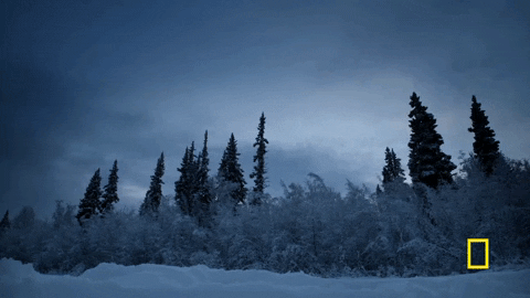 Life Below Zero Winter GIF by National Geographic Channel - Find ...