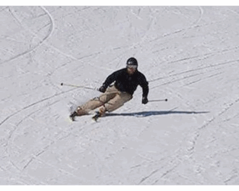 Ski GIF - Find & Share on GIPHY