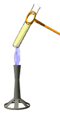 Test GIF - Find & Share on GIPHY