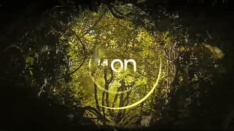 Digital Spy GIF - Find & Share on GIPHY