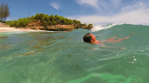 Indonesia GIF - Find & Share on GIPHY