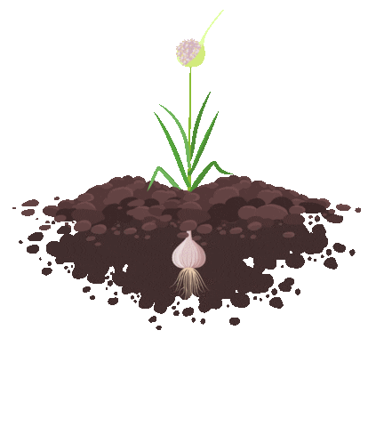 Garden Sticker by Mini-Farm Grow Kits for iOS & Android | GIPHY