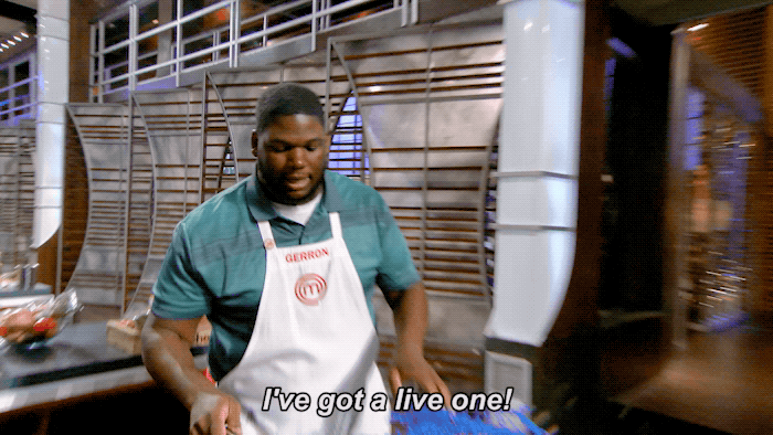 Masterchef Cooking GIF by Fox TV - Find & Share on GIPHY