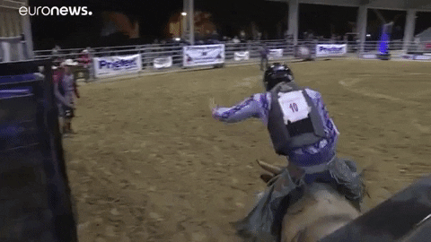 Rodeo GIF by euronews - Find & Share on GIPHY