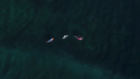 Water Sports Sport GIF by World Surf League - Find & Share on GIPHY