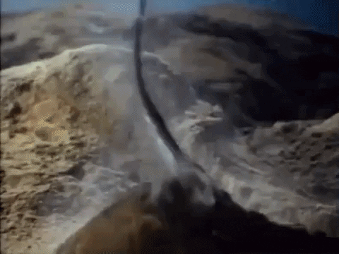 Space Force GIFs - Get the best GIF on GIPHY