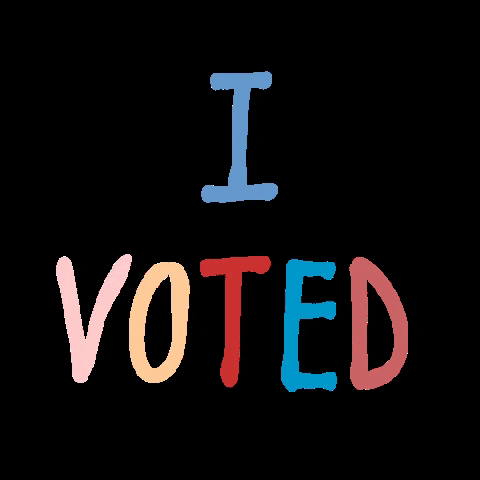 Voting Election 2020 GIF - Find & Share on GIPHY