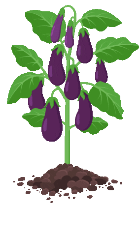 Garden Growing Sticker by Mini-Farm Grow Kits for iOS & Android | GIPHY