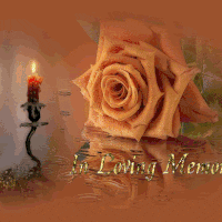 Memory GIF - Find & Share on GIPHY