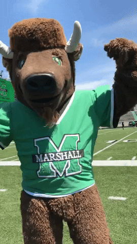 Marshallu GIF by Marshall University - Find & Share on GIPHY