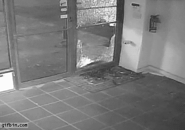 Escape GIF - Find & Share on GIPHY