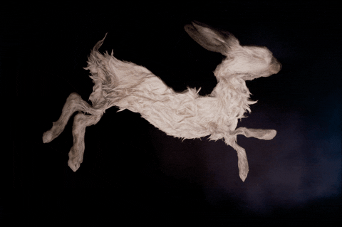 Art Animation GIF by erica shires - Find & Share on GIPHY