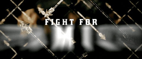 Robin Hood Fight GIF by Signature Entertainment - Find & Share on GIPHY