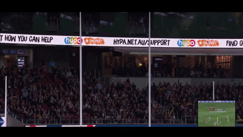 Afl Goal Umpire GIF by Adelaide Crows - Find & Share on GIPHY