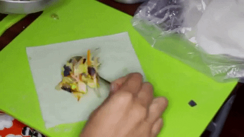 Lumpia GIFs - Get the best GIF on GIPHY