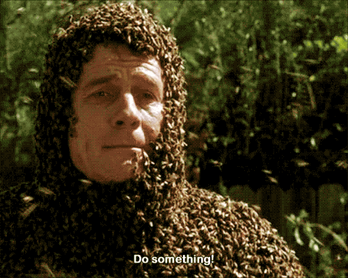 Bryan Cranston GIF - Find & Share on GIPHY Bryan Cranston GIF - Find & Share on GIPHY