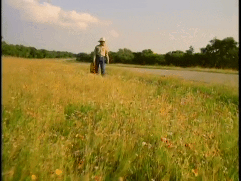 Country Music Flowers GIF - Find & Share on GIPHY