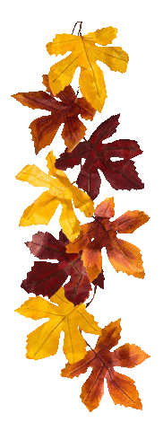 Fall Autumn Sticker by Beekwilder for iOS & Android | GIPHY