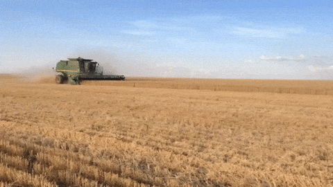 Speed Washington GIF - Find & Share on GIPHY