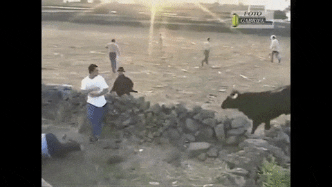 Poof GIFs - Find & Share on GIPHY