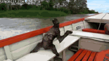 Patrol Boat GIFs - Find & Share on GIPHY