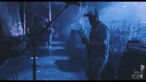 Slightly Stoopid GIF - Find & Share on GIPHY