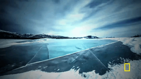 Life Below Zero GIF by National Geographic Channel - Find & Share on GIPHY