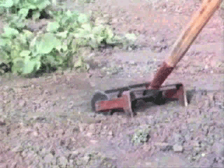 Hoe GIFs - Find & Share on GIPHY