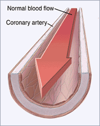 Artery GIFs - Find & Share on GIPHY