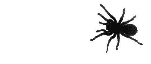 Anyone have any prank bug on screen images like this one? : r/discordapp