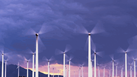 Wind GIF - Find & Share on GIPHY