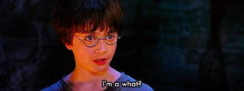 Summary GIF - Find & Share on GIPHY