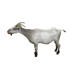 Goat Sticker for iOS & Android | GIPHY