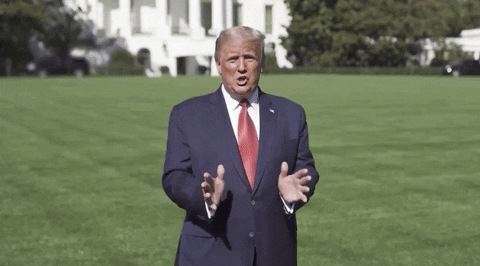 Donald Trump Seniors GIF by GIPHY News - Find & Share on GIPHY