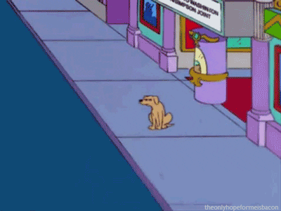 Dog GIF - Find & Share on GIPHY
