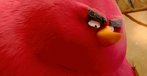 Angry Birds GIF - Find & Share on GIPHY