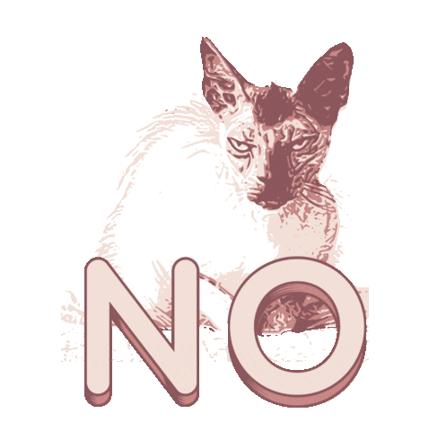 Cat No Sticker by Studio Cotton for iOS & Android | GIPHY