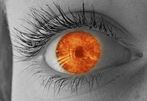 Eyes On Fire GIFs - Find & Share on GIPHY